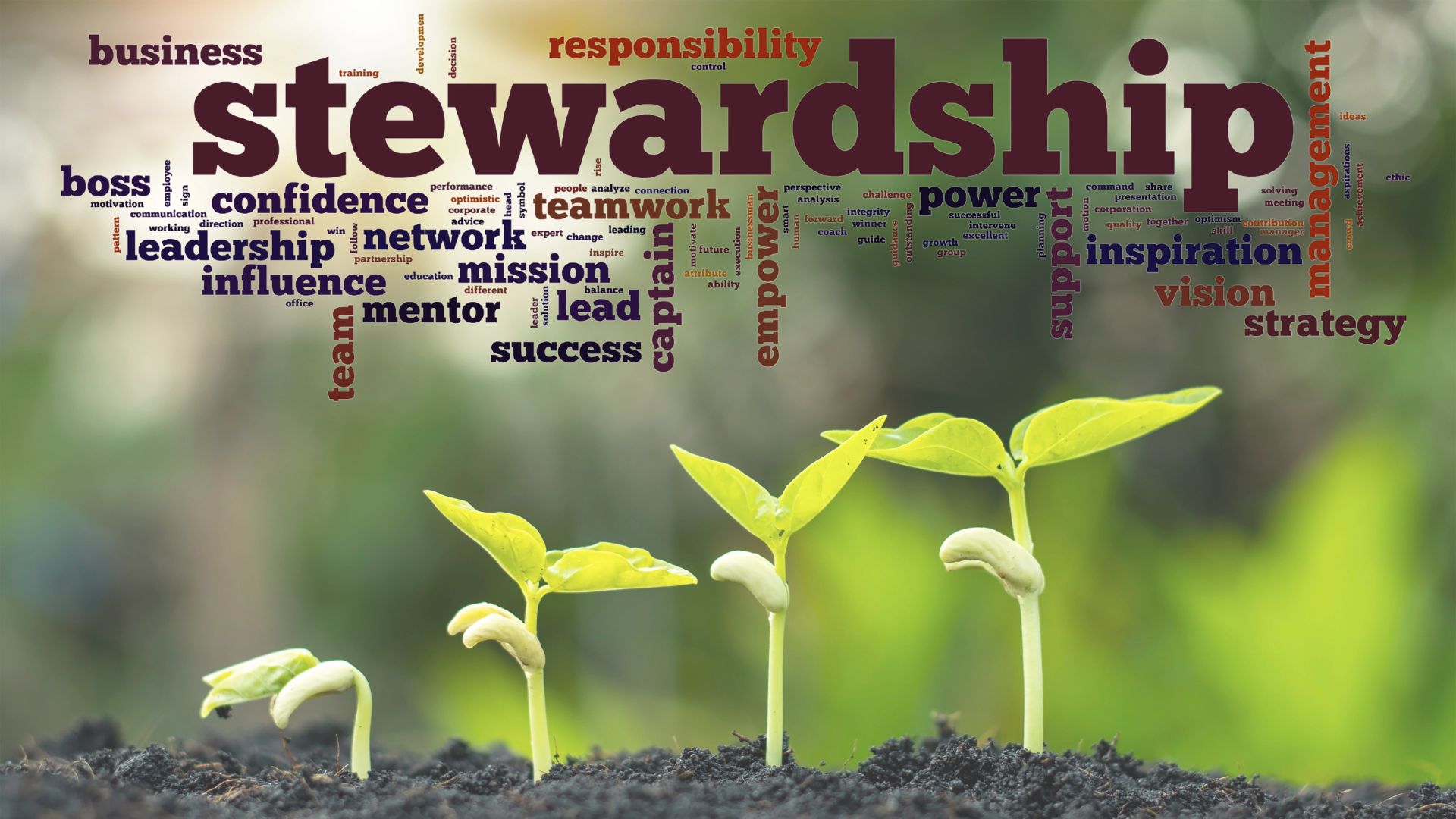Stewardship - Pledge - Pawleys Island Presbyterian Church